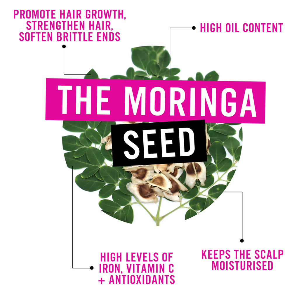 Deep Conditioning Curl Masque 300ml | The Curl Company